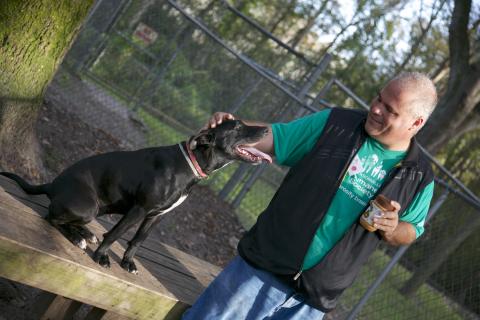 Animal Welfare Groups Take a Community Approach to Save 9 Out of Every ...