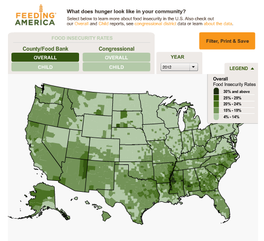What is Food Insecurity and What Does it Look Like in America ...