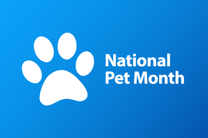 May is National Pet Month | America's Charities