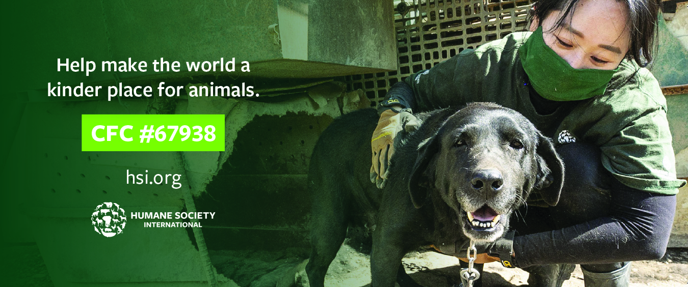 Support Humane Society International's Global Efforts to Protect All ...