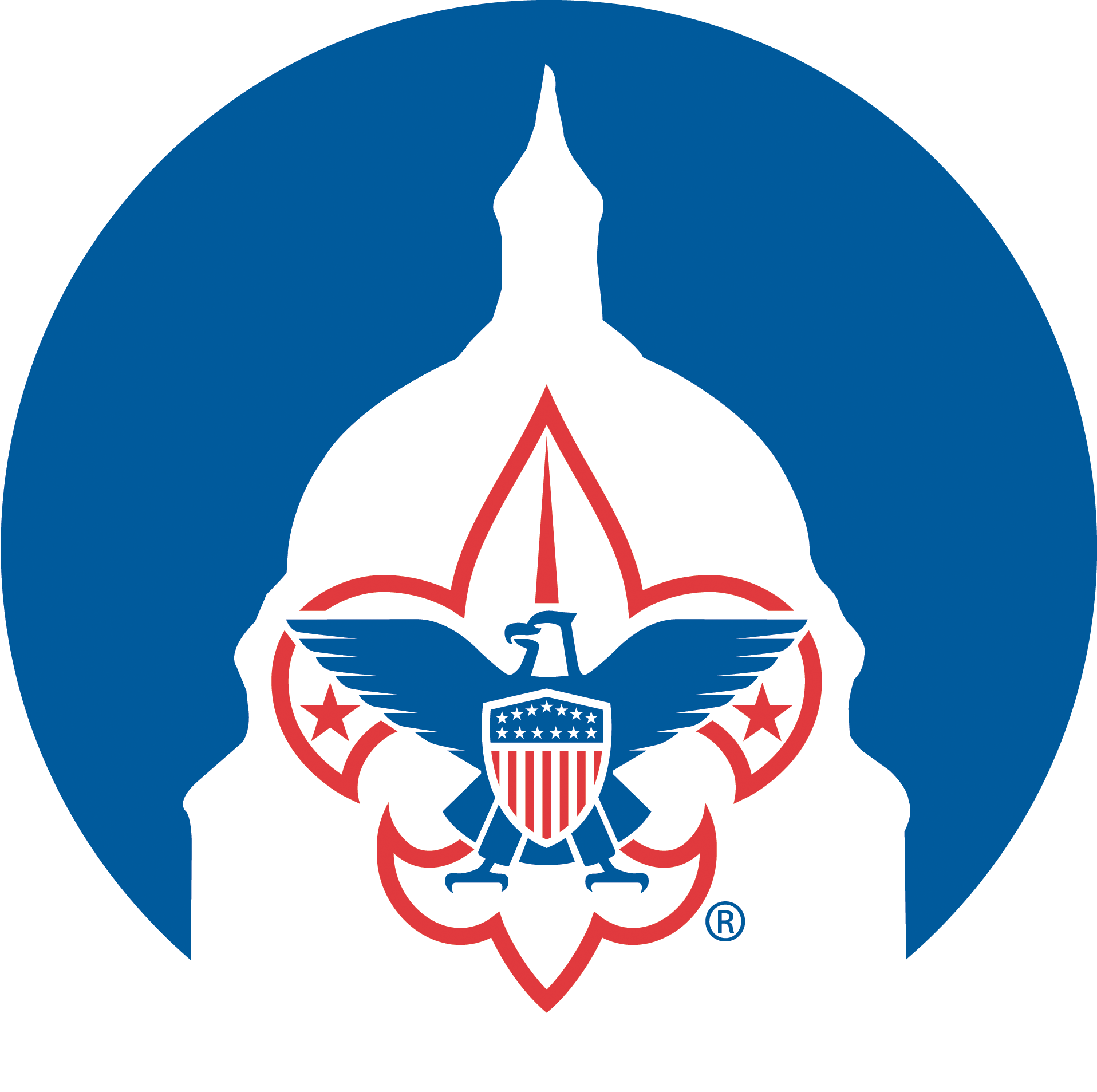 Boy Scouts of America, National Capital Area Council | America's Charities