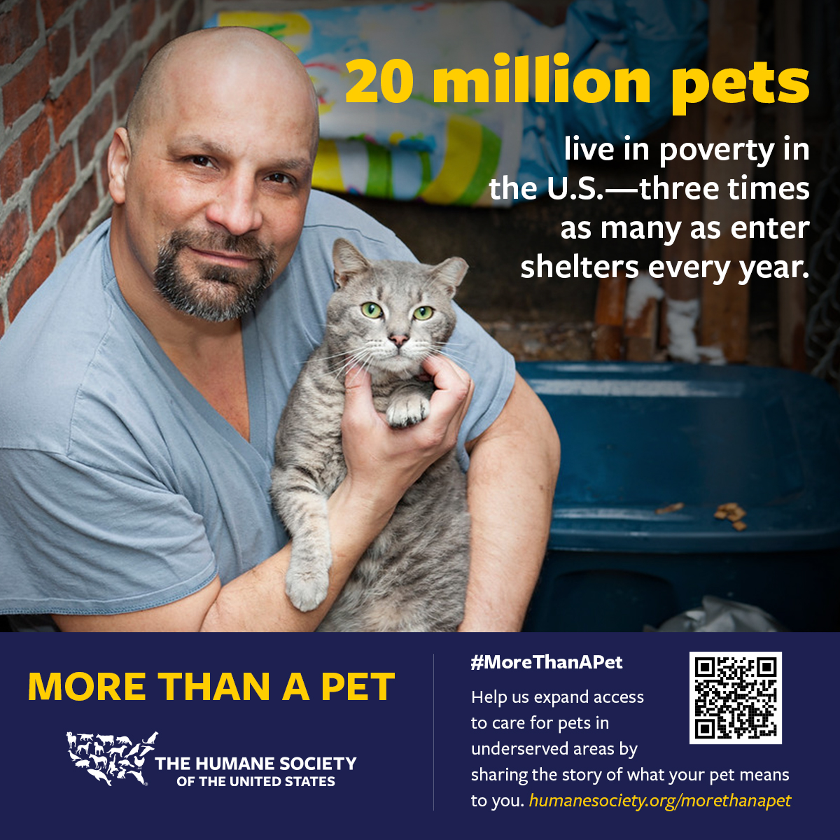 More Than a Pet campaign will help people struggling to access care for ...