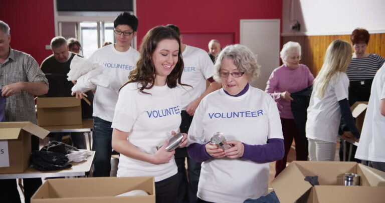 Nonprofit Blueprint for Improved Volunteer Recruitment and Screening in ...