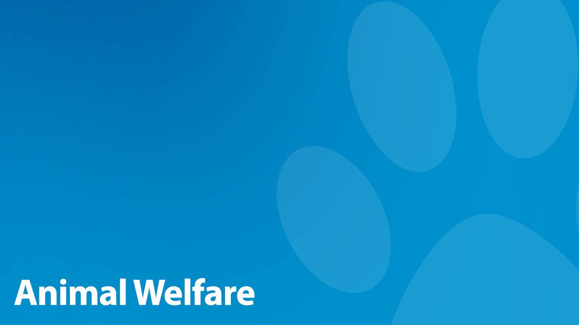 Best Friends Animal Society | America's Charities